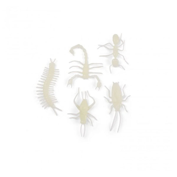 5 Glow in the Dark Insects - Les Petites Insectes Phosphorescents ...